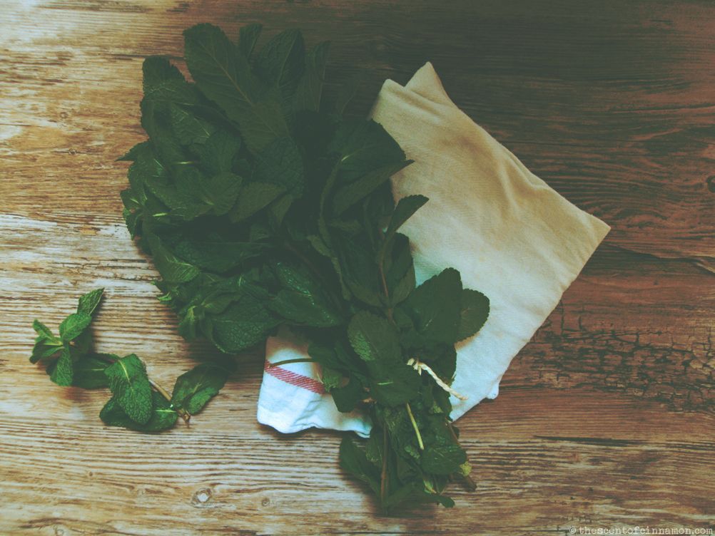 Waarom is munt gezond en wat is het verschil met pepermunt?