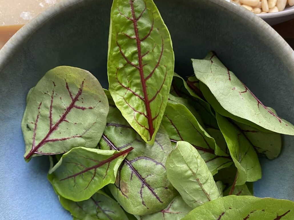 Zuring: onkruid of groente? | The Scent Of Cinnamon